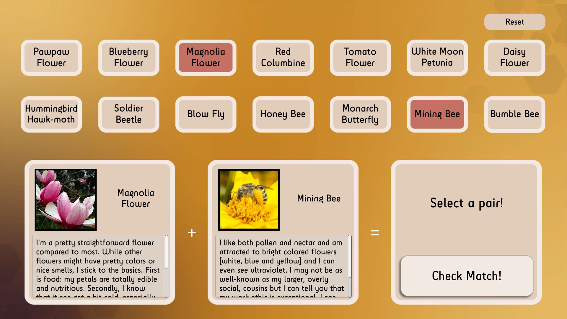 Flower and Pollinator Dissection | Purdue University Pollinator ...