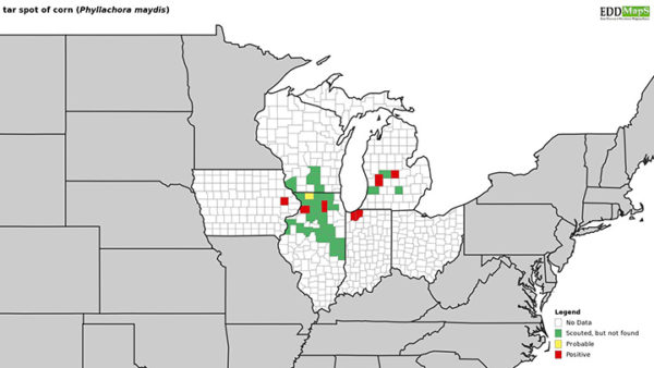 Southern Rust and Tar Spot Update on Corn in Indiana: We need your help ...