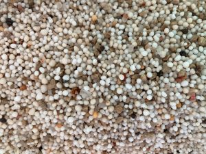 Now Is The Time To Stockpile Forage For Late Fall And Early Winter ...