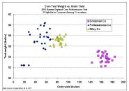 Grain Test Weight Considerations For Corn | Purdue University Pest&Crop ...