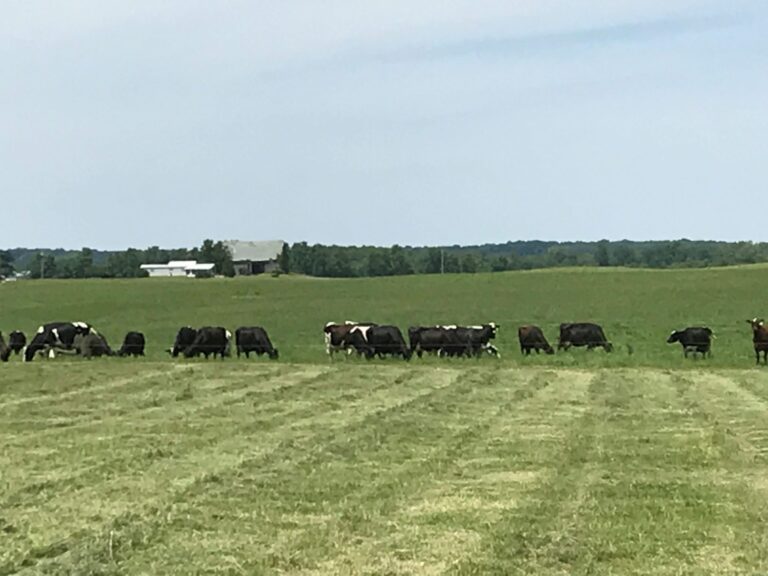 Matching Pasture Owners With Livestock Owners – Midwest Grazing ...