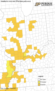 Indiana Disease Update In Corn | Purdue University Pest&Crop newsletter