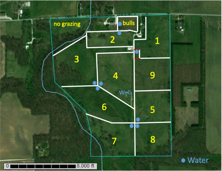 Now Is The Time To Stockpile Forage For Late-Fall And Early-Winter ...