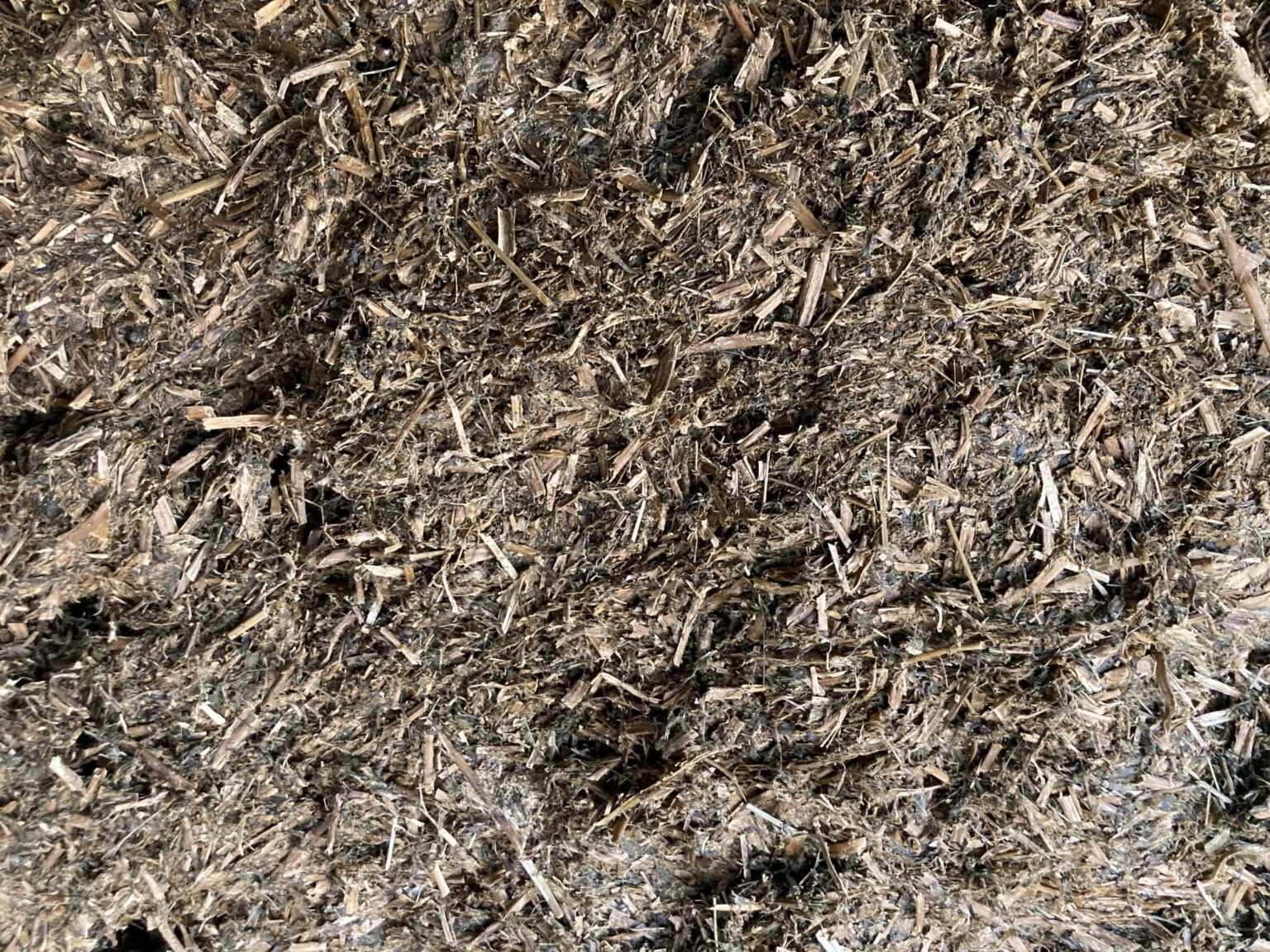 “Best Management Practices” For Bagged Chopped Silage | Purdue ...