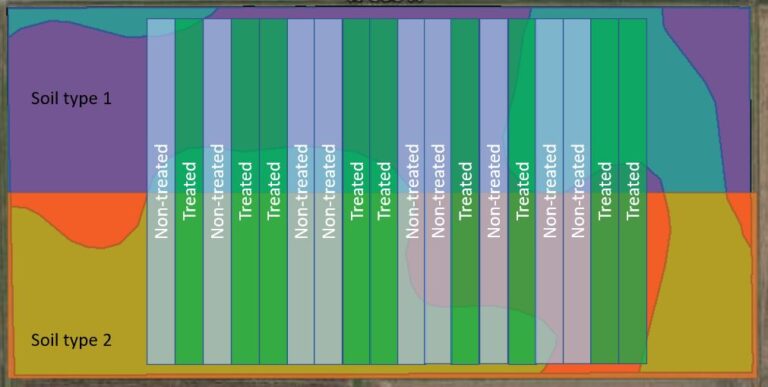 Randomization Replication And Statistics Making Sense Of Applied