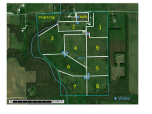 Prepare To Stockpile Forage For Late-fall And Early-Winter Grazing ...