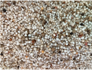 Prepare To Stockpile Forage For Late-fall And Early-Winter Grazing ...