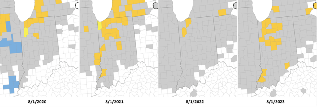 Tar Spot Update In Indiana | Purdue University Pest&Crop newsletter