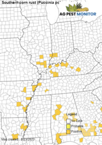 Tar Spot And Southern Corn Rust Update In Indiana | Purdue University ...