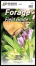 Forage Management Necessities For Improved Yield, Quality, And ...