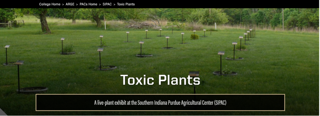 Are There Toxic Plants In Your Pasture Or Hay? | Purdue University Pest ...
