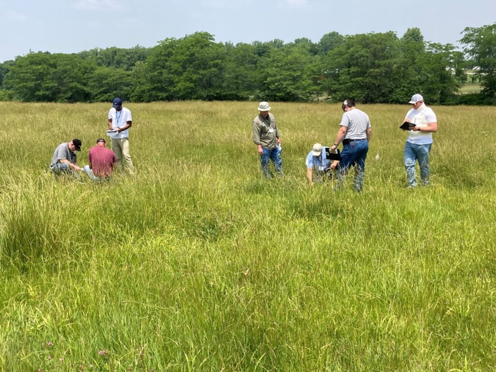 An Opportunity to Learn More About Forages | Purdue University Pest ...
