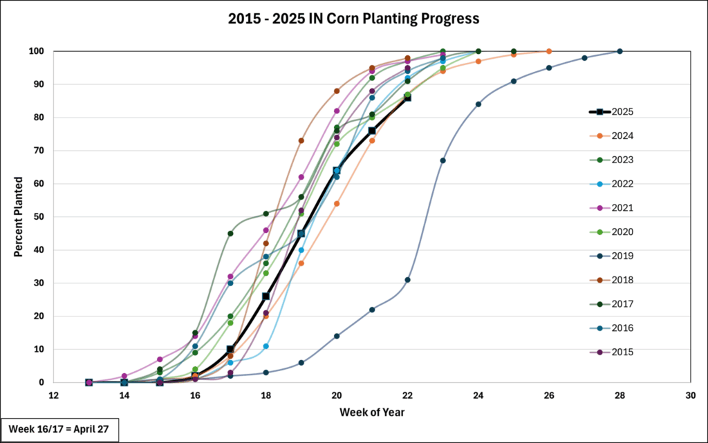 From South To North: Indiana’s Corn Progress Update | Purdue University ...
