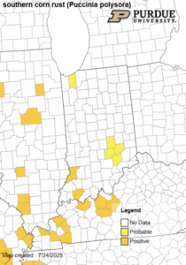 Tar Spot And Southern Corn Rust Update In Indiana | Purdue University ...