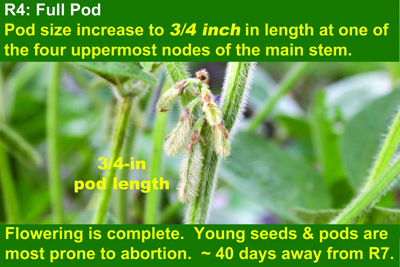 July 9, 2010 - Issue 15, Pest & Crop Newsletter, Entomology Extension ...