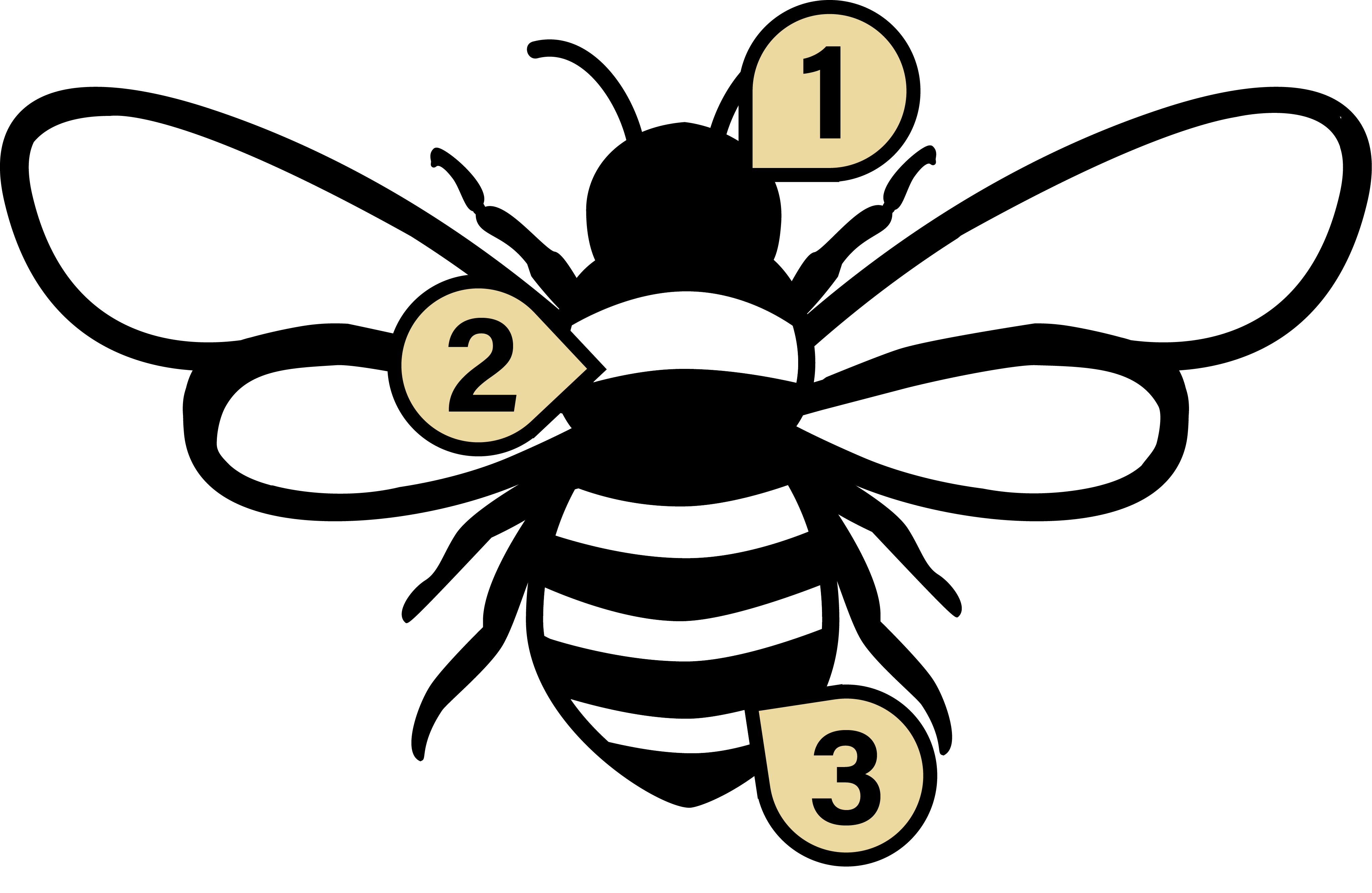 Identifying Wild Bees As Pollinators of Indiana’s Specialty Crops