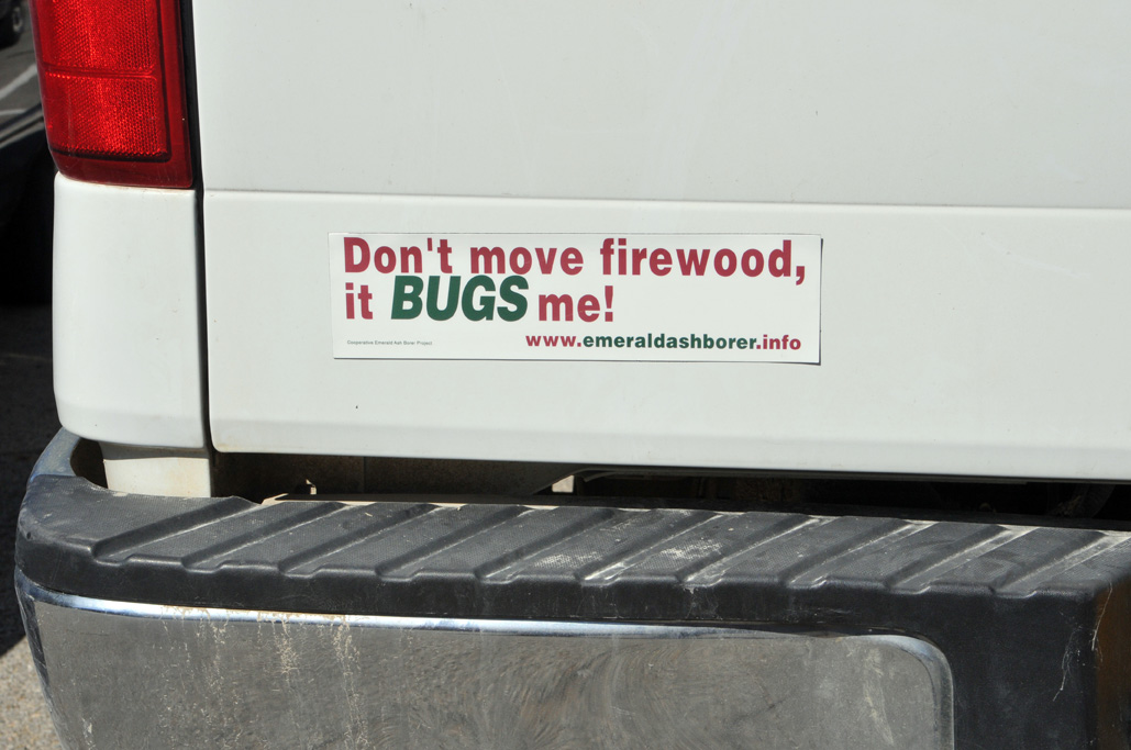 Who Let the Bugs Out? | Purdue | entomology | insect | collect ...