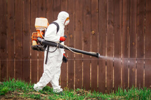 Correspondence Courses – Urban Entomology at Purdue